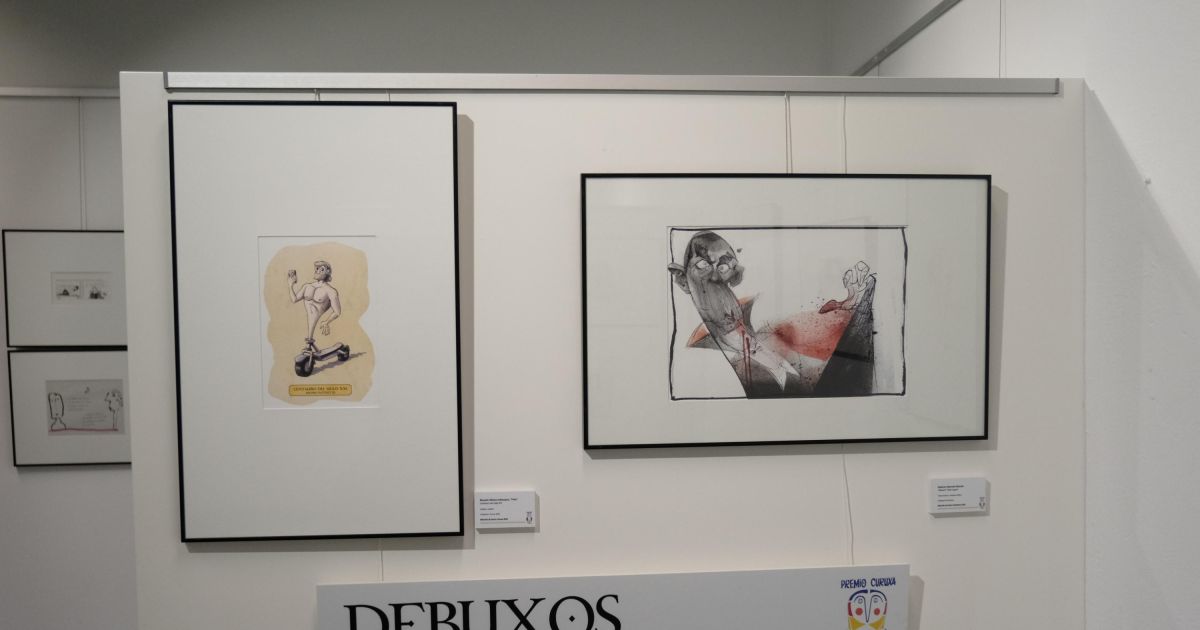 O xurado dos Premios Curuxa 2025 dará a coñecer mañá aos gañadores
